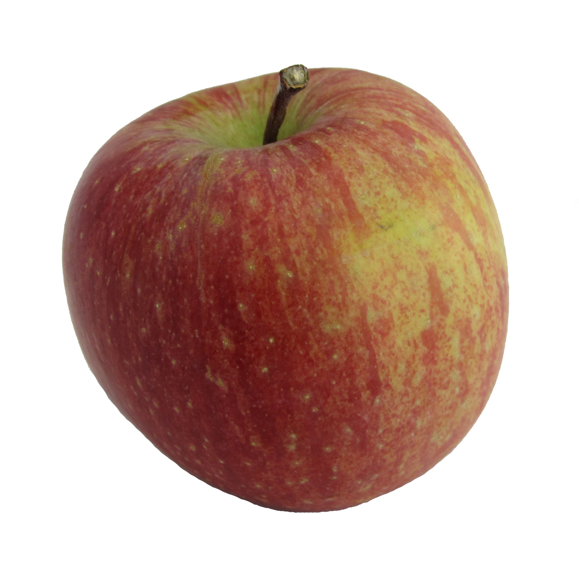 Fuji-Kiku - OGM Obstgroßmarkt Mittelbaden eG
